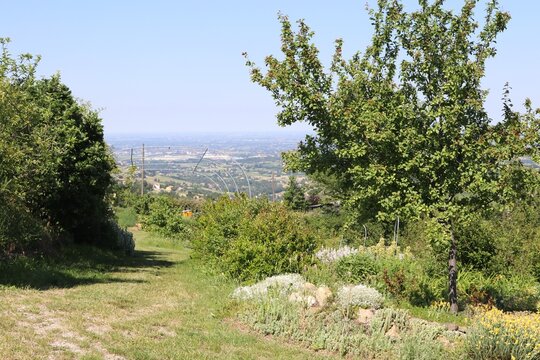 Modenesi Images – Browse 173 Stock Photos, Vectors, and Video | Adobe Stock