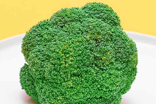 "Broccoli Piece" Images – Browse 375 Stock Photos, Vectors, and Video ...