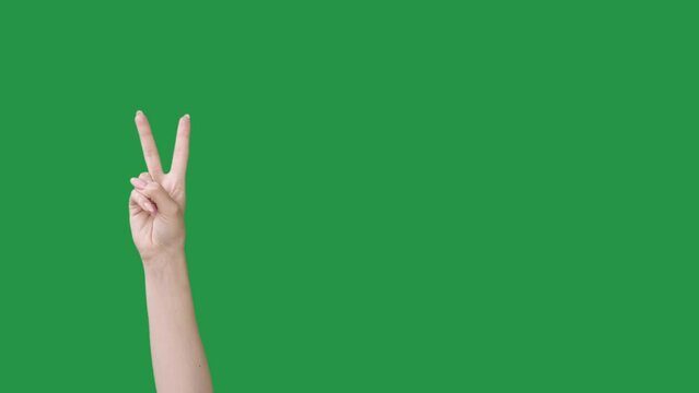 Win Sign Hand Images – Browse 1,074,309 Stock Photos, Vectors, and ...