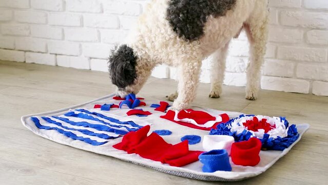 "Rag Rug" Images – Browse 427 Stock Photos, Vectors, and Video | Adobe ...