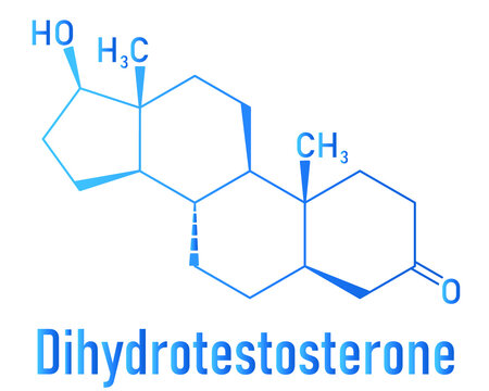 Dihydrotestosterone bilder – Bläddra bland 518 stockfoton, vektorer och ...
