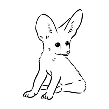 Fenek Images – Browse 132 Stock Photos, Vectors, and Video | Adobe Stock