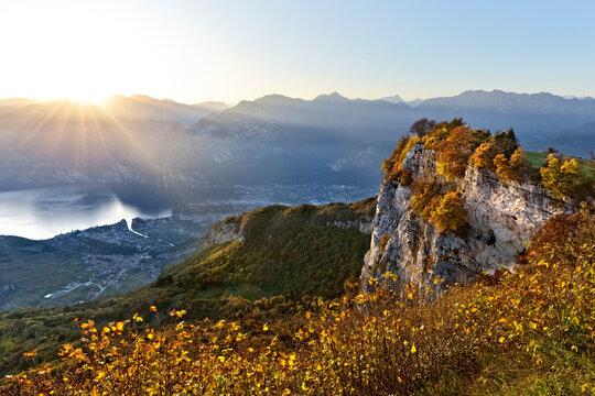 Ronzo Images – Browse 8 Stock Photos, Vectors, and Video | Adobe Stock