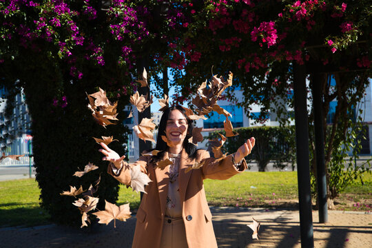 Equipoise bilder – Bläddra bland 3,204 stockfoton, vektorer och videor ...