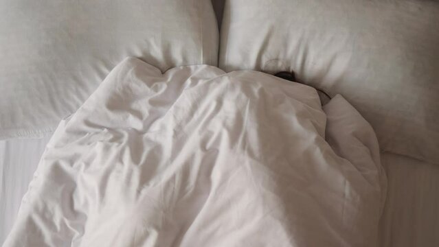 Mom Hait Images – Browse 2 Stock Photos, Vectors, and Video | Adobe Stock