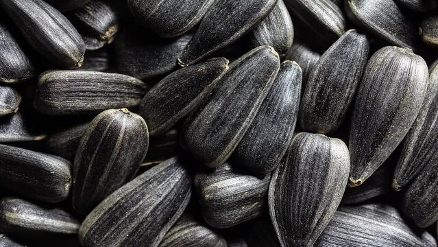 Semki Images – Browse 101 Stock Photos, Vectors, and Video | Adobe Stock