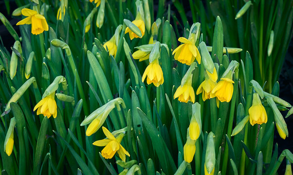 "Tete A Tete" Images – Browse 643 Stock Photos, Vectors, and Video ...