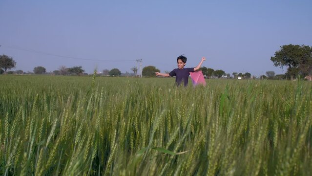 Patang Video Footage – Browse 21 HD Stock Video and Footage | Adobe Stock