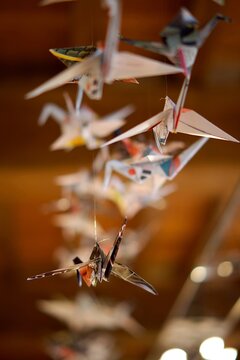 รูปภาพ"Pliage – เลือกดูภาพถ่ายสต็อก เวกเตอร์ และวิดีโอ1,816 | Adobe Stock