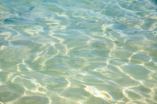 Seicht Bilder – Durchsuchen 1,785 Archivfotos, Vektorgrafiken und ...