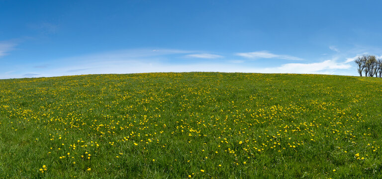 Ansteigend bilder – Bläddra bland 764 stockfoton, vektorer och videor ...