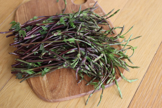 รูปภาพBruscandoli – เลือกดูภาพถ่ายสต็อก เวกเตอร์ และวิดีโอ90 | Adobe Stock