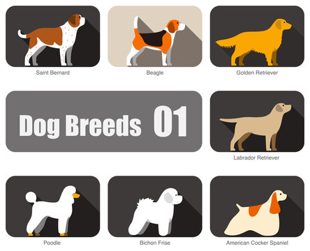 Dog Profile Illustration Images – Browse 19,348 Stock Photos, Vectors ...