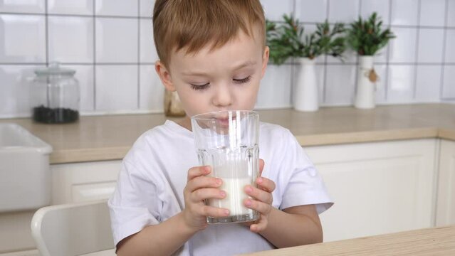 Should You Drink Milk Everyday