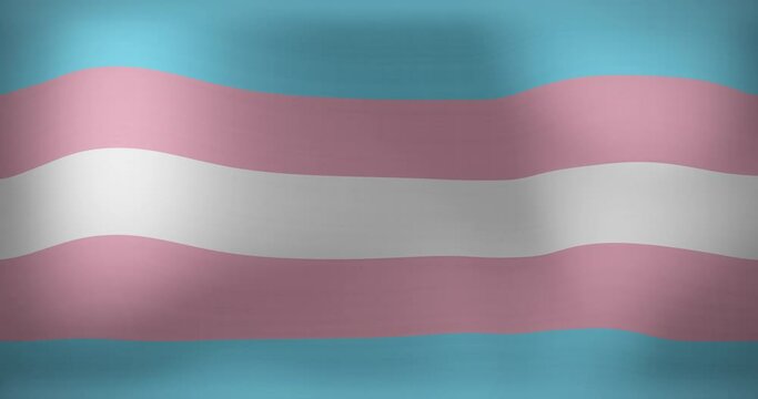 Trans Flag Images – Browse 25,188 Stock Photos, Vectors, and Video ...