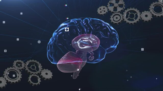 Brain Cogs Images – Browse 20,005 Stock Photos, Vectors, and Video ...