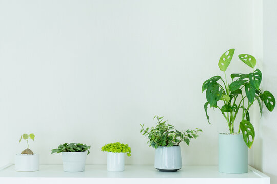 Adorn Images – Browse 3,336,879 Stock Photos, Vectors, and Video ...