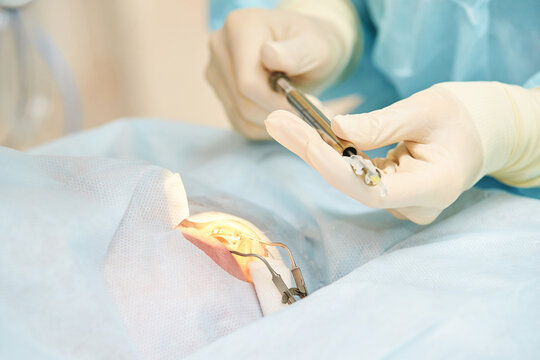 Prk Images – Parcourir 1,686 le catalogue de photos, vecteurs et vidéos ...