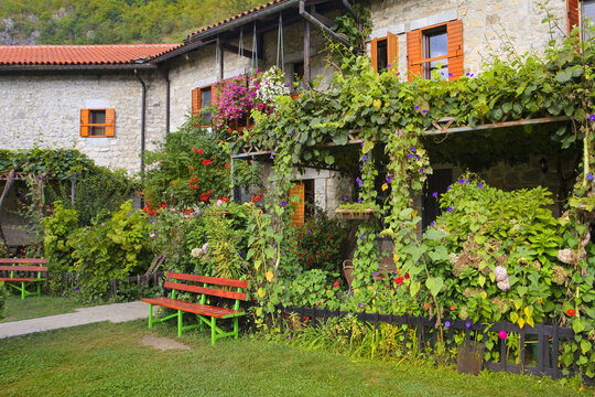 รูปภาพMoracha – เลือกดูภาพถ่ายสต็อก เวกเตอร์ และวิดีโอ184 | Adobe Stock