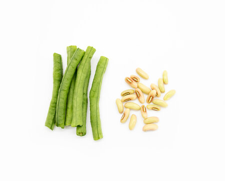 Borboti Images – Browse 54 Stock Photos, Vectors, and Video | Adobe Stock