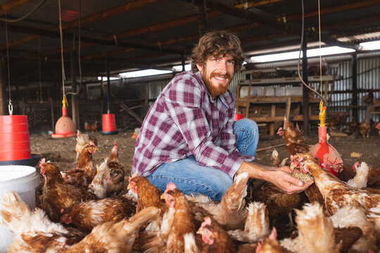 Young Poultry Templates – Free Editable Designs | PikWizard