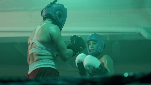 "Female Boxer" Images – Browse 19,191 Stock Photos, Vectors, and Video ...