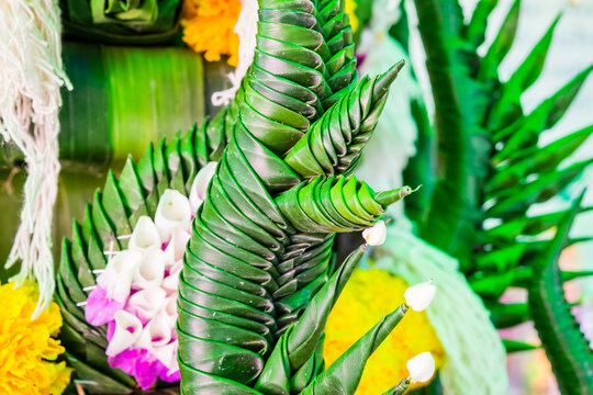 Propitious Images – Parcourir 1,159 le catalogue de photos, vecteurs et ...