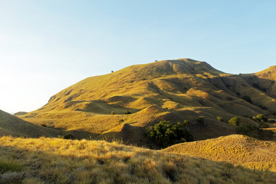 รูปภาพLawa – เลือกดูภาพถ่ายสต็อก เวกเตอร์ และวิดีโอ1,481 | Adobe Stock
