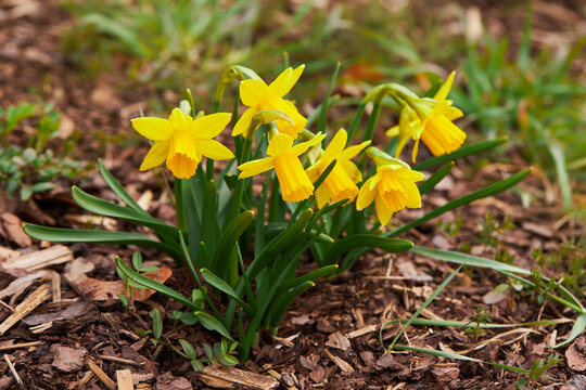 "Tete A Tete" Images – Browse 643 Stock Photos, Vectors, and Video ...