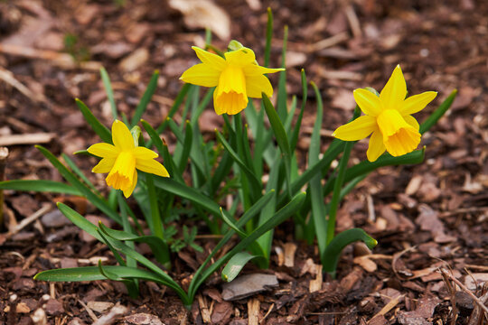 "Tete A Tete" Images – Browse 643 Stock Photos, Vectors, and Video ...