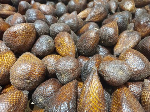 รูปภาพSnakefruit – เลือกดูภาพถ่ายสต็อก เวกเตอร์ และวิดีโอ8,305 | Adobe ...