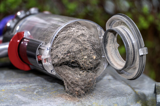 Acarian Bilder – Durchsuchen 9,649 Archivfotos, Vektorgrafiken und ...