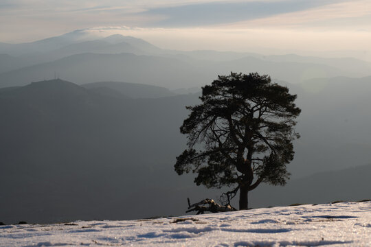 Nieve Images – Browse 97,306 Stock Photos, Vectors, and Video | Adobe Stock