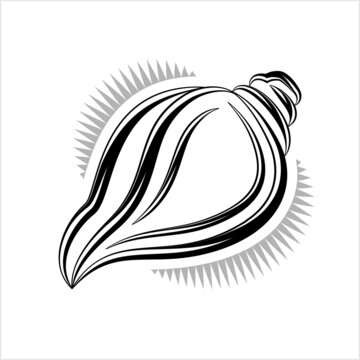 รูปภาพShankha – เลือกดูภาพถ่ายสต็อก เวกเตอร์ และวิดีโอ421 | Adobe Stock