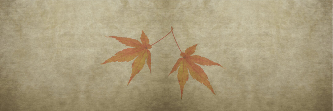 二枚 Images – Browse 785 Stock Photos, Vectors, and Video | Adobe Stock