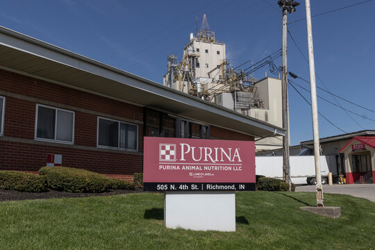 รูปภาพPurina – เลือกดูภาพถ่ายสต็อก เวกเตอร์ และวิดีโอ395 | Adobe Stock