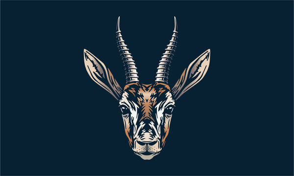 Chinkara Bilder – Durchsuchen 239 Archivfotos, Vektorgrafiken und ...