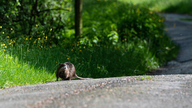 Pris Bilder – Durchsuchen 649 Archivfotos, Vektorgrafiken und Videos ...