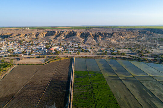 Chira Images – Browse 573 Stock Photos, Vectors, and Video | Adobe Stock