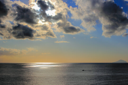 Raubspinne Bilder – Durchsuchen 1,716 Archivfotos, Vektorgrafiken und ...