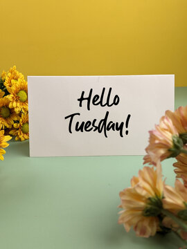 "Hello Tuesday" Bilder – Durchsuchen 83 Archivfotos, Vektorgrafiken und ...