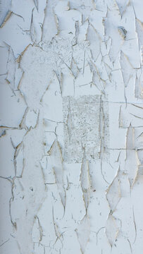 Imágenes de Cuarteado: descubre bancos de fotos, ilustraciones ...