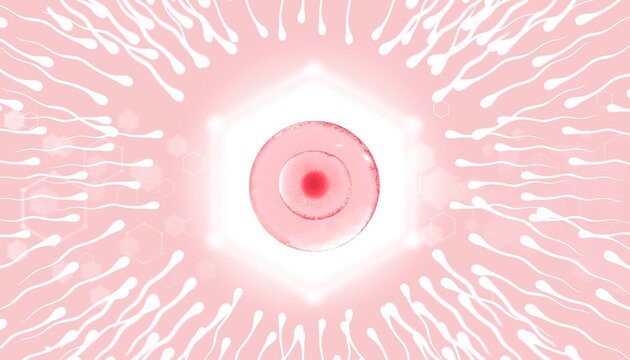 "Sperm Motility" Images – Browse 110 Stock Photos, Vectors, and Video ...