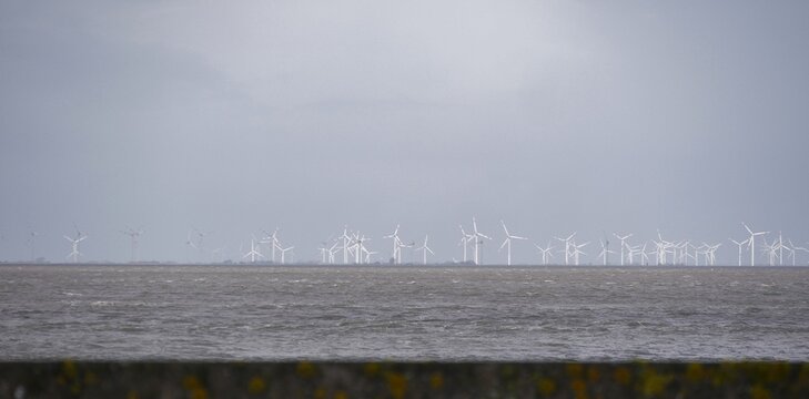 Winrad Bilder – Durchsuchen 63 Archivfotos, Vektorgrafiken und Videos ...