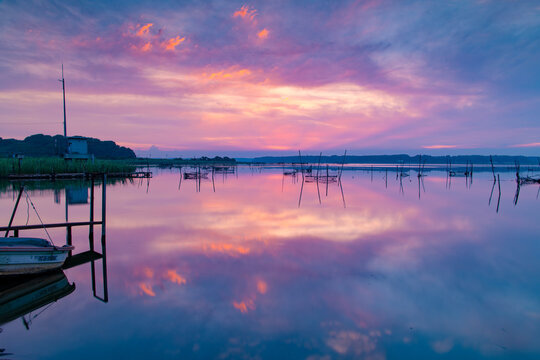 Inba Images – Browse 35 Stock Photos, Vectors, and Video | Adobe Stock