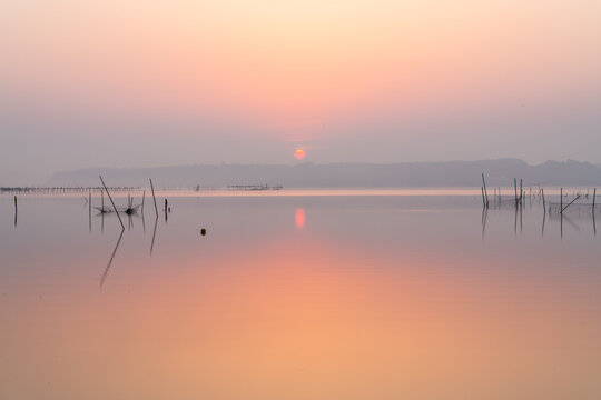 Inba Images – Browse 35 Stock Photos, Vectors, and Video | Adobe Stock