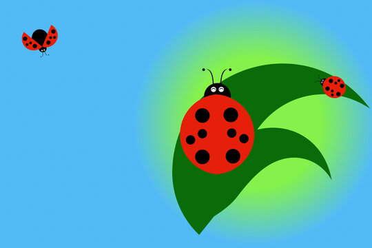 รูปภาพGaebul – เลือกดูภาพถ่ายสต็อก เวกเตอร์ และวิดีโอ748 | Adobe Stock