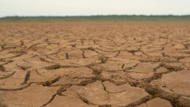Obrazy ("No Vegetation") — zdjęcia, wektory i wideo bez tantiem (812 ...