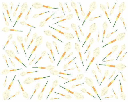 รูปภาพParijat – เลือกดูภาพถ่ายสต็อก เวกเตอร์ และวิดีโอ293 | Adobe Stock