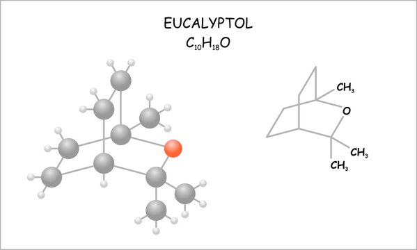 รูปภาพCineol – เลือกดูภาพถ่ายสต็อก เวกเตอร์ และวิดีโอ457 | Adobe Stock